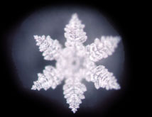 Marcel Vogel Crystal Research